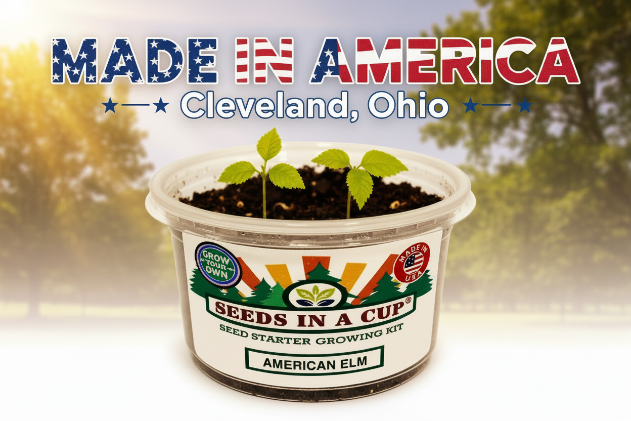 Seeds In A Cup® | Easy Tree & Plant Grow Kits